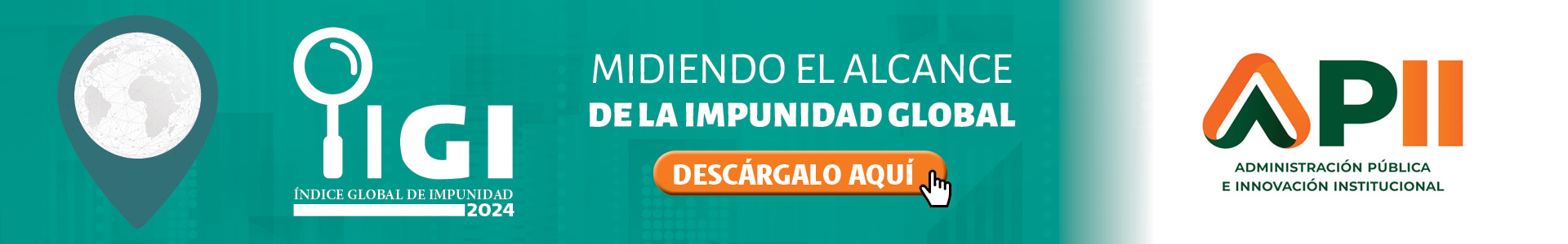 APII - IGI México - Universidad de las Américas Puebla (UDLAP)