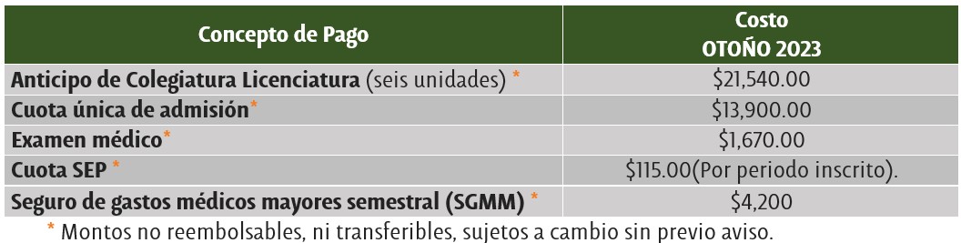 Servicios escolares - Guía de admisión - Universidad de las Américas ...